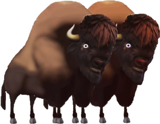 List of Species seen in All Creatures Big and Small | Animals Wiki | Fandom