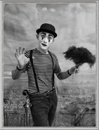 Mime | Animals Wiki | Fandom
