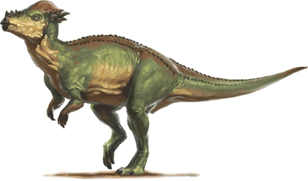 Pachycephalosaurus | Animals Wiki | Fandom