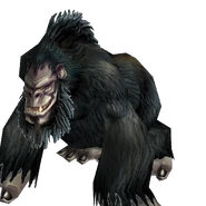 Chororapithecus | Animals Wiki | Fandom