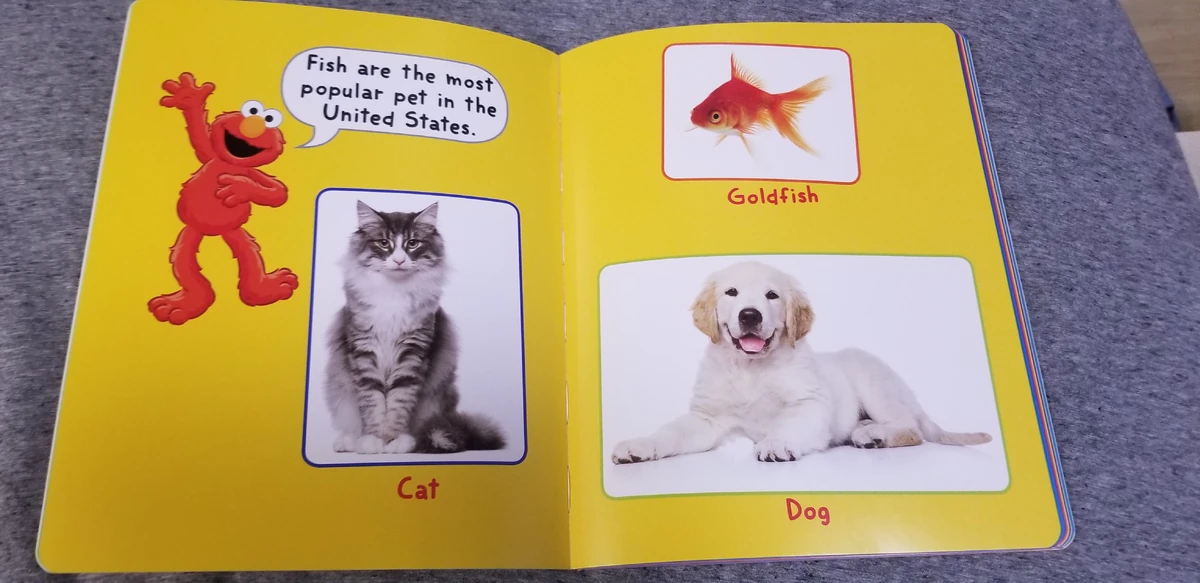 List of Species in Sesame Street My First 101 Animals | Animals Wiki ...