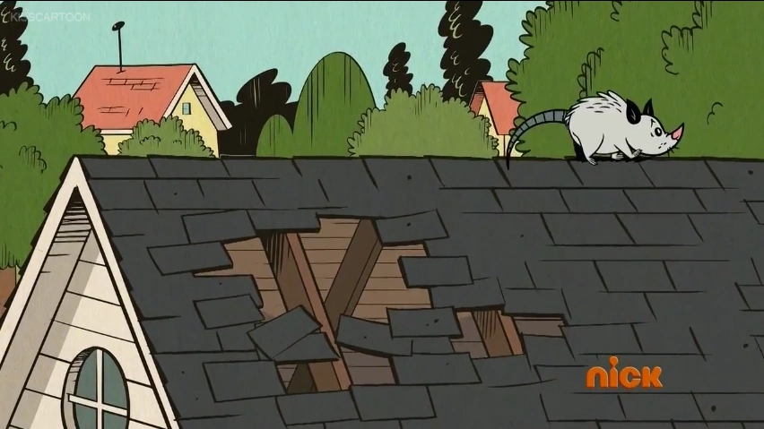 List of Species from The Loud House | Animals Wiki | Fandom