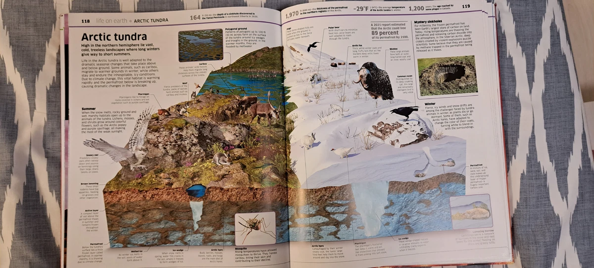 List of Species in Knowledge Encyclopedia Planet Earth! | Animals Wiki ...