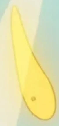 Slender Weasel Shark | Animals Wiki | Fandom