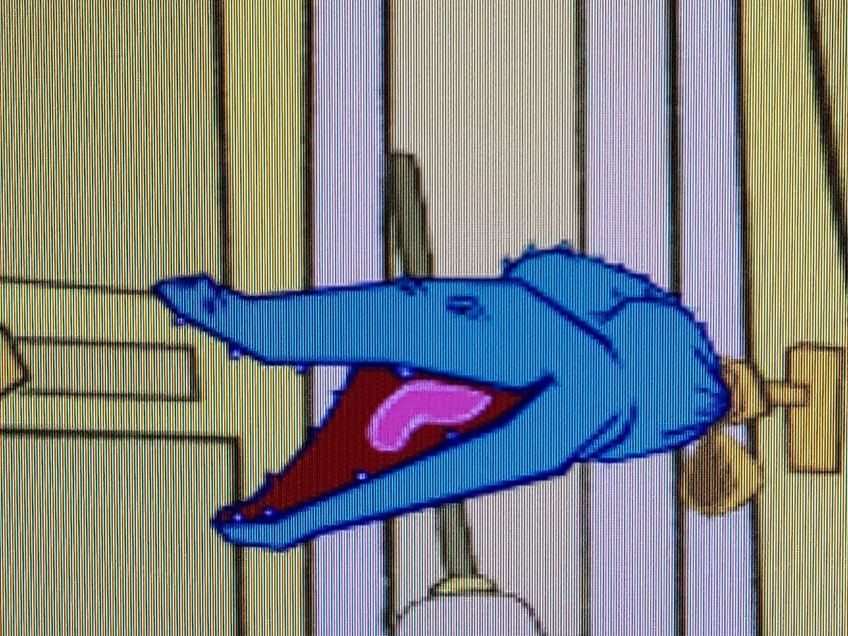 Thorbjarnarson's Crocodile | Animals Wiki | Fandom