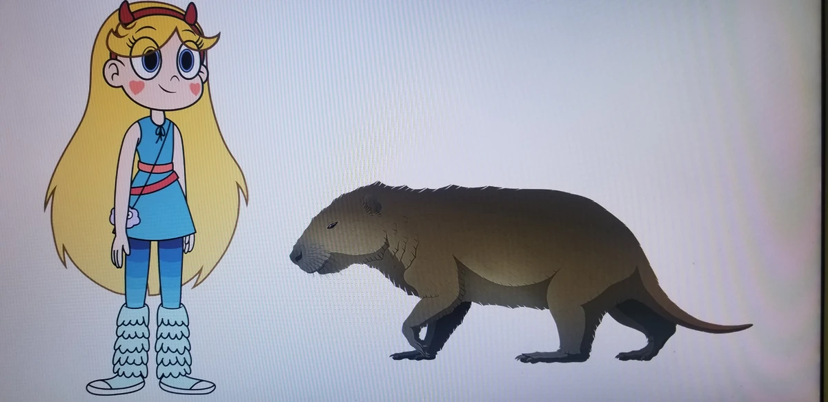 Tainotherium | Animals Wiki | Fandom