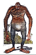 Yowie | Animals Wiki | Fandom