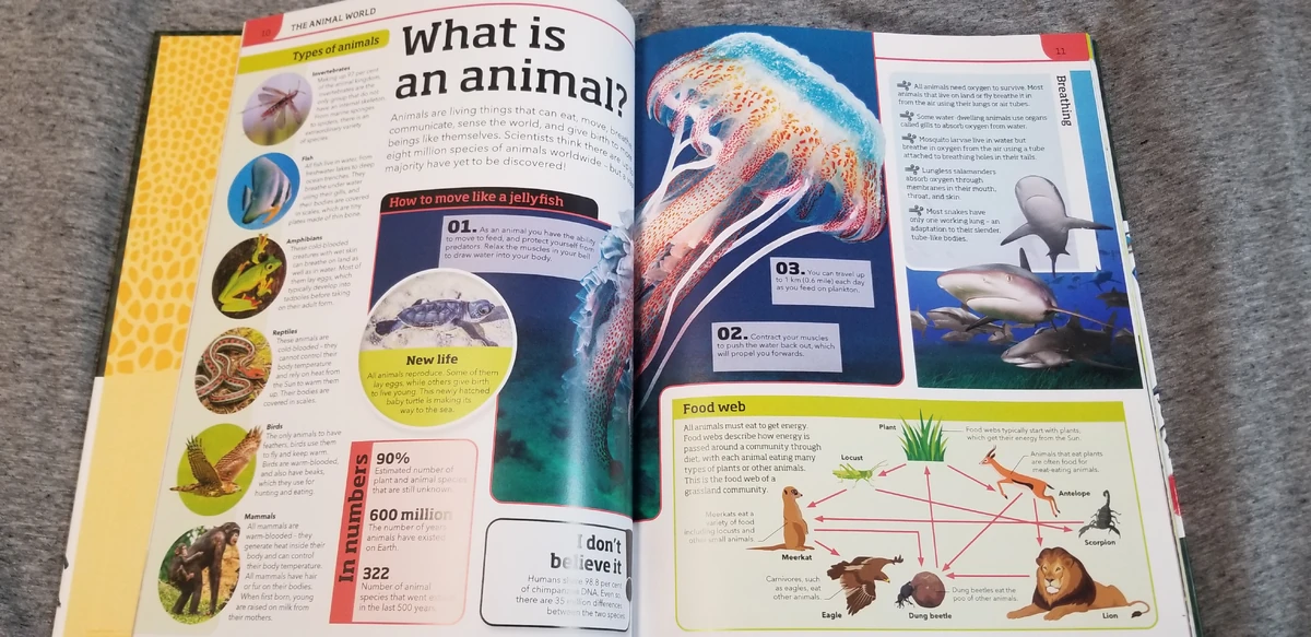 List of Species in Animal Knowledge Genius! | Animals Wiki | Fandom