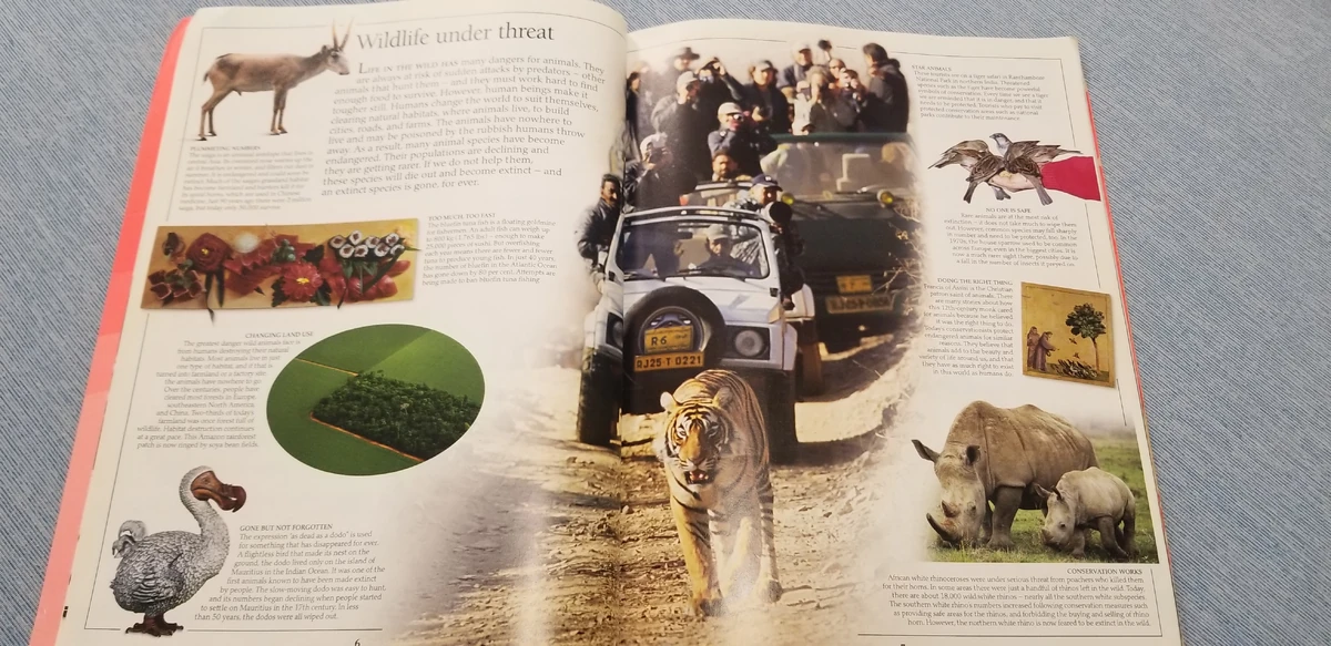 List of Species in DK Eyewitness Books Endangered Animals | Animals ...