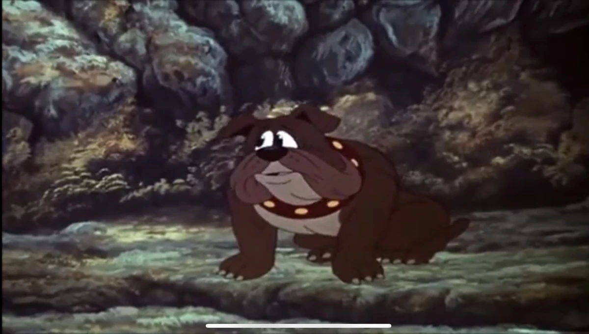 Old English Bulldog | Animals Wiki | Fandom
