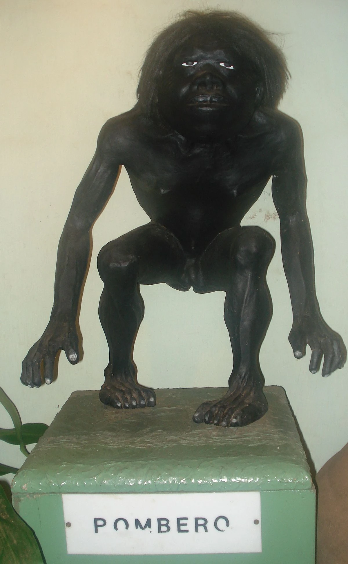 Pombero | Animals Wiki | Fandom