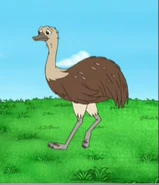 Greater Rhea | Animals Wiki | Fandom