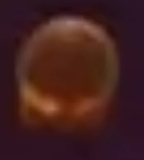 Arctic Rabbuck | Animals Wiki | Fandom