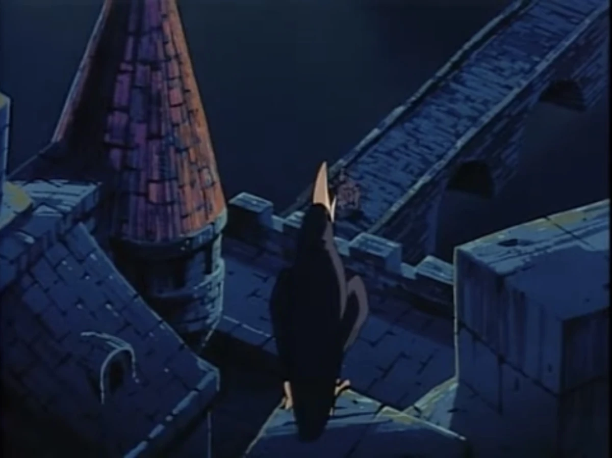 Rook | Animals Wiki | Fandom