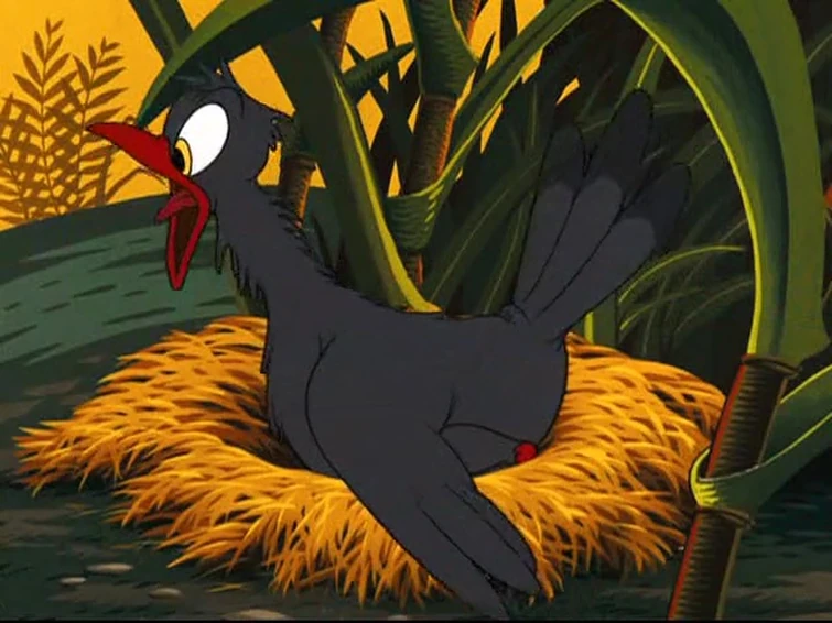 Common moorhen | Animals Wiki | Fandom