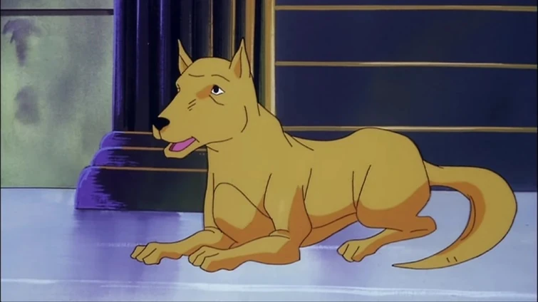 Indian Pariah Dog | Animals Wiki | Fandom