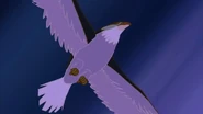 Bald Eagle | Animals Wiki | Fandom
