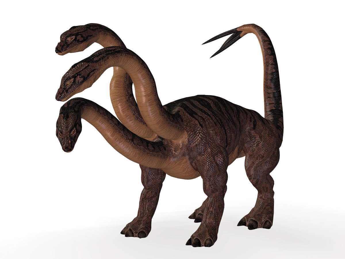 Hydra | Animals Wiki | Fandom