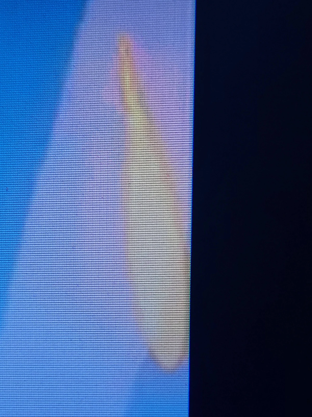 Atlantic Sixgill Shark | Animals Wiki | Fandom