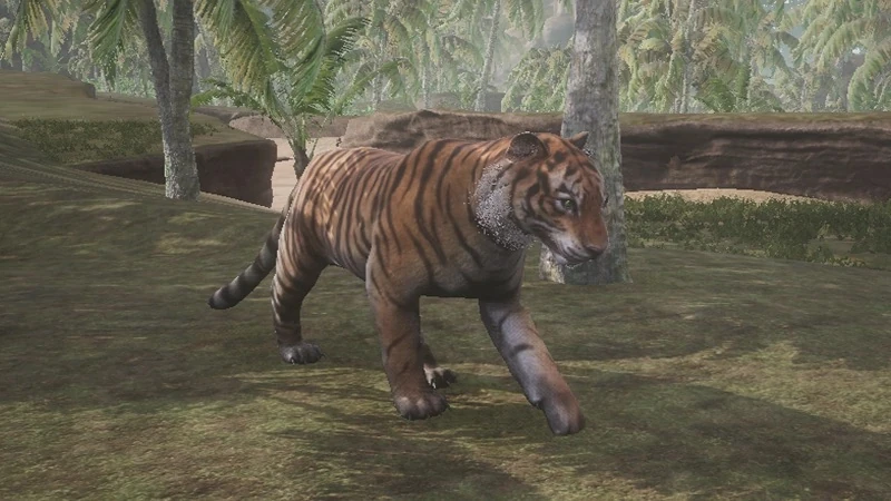 Ngandong Tiger | Animals Wiki | Fandom