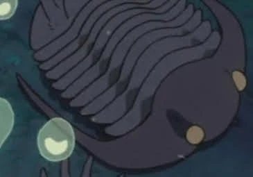 Paradoxides | Animals Wiki | Fandom