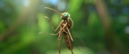 List of Species from Rio | Animals Wiki | Fandom