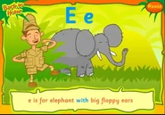 African Forest Elephant | Animals Wiki | Fandom