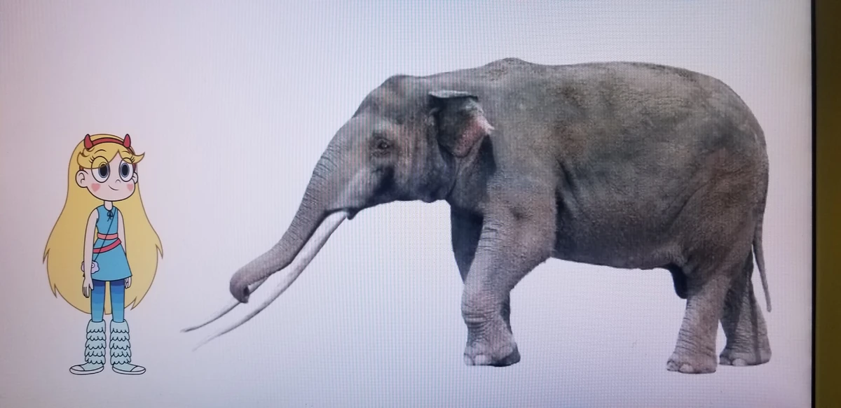 Cuvieronius | Animals Wiki | Fandom