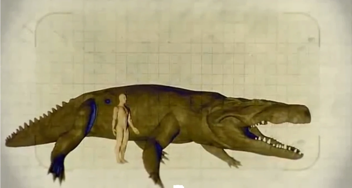 Acherontisuchus | Animals Wiki | Fandom