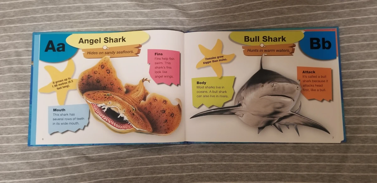List of Species in A-Z of Sharks | Animals Wiki | Fandom