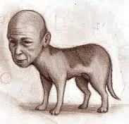 Jinmenken | Animals Wiki | Fandom