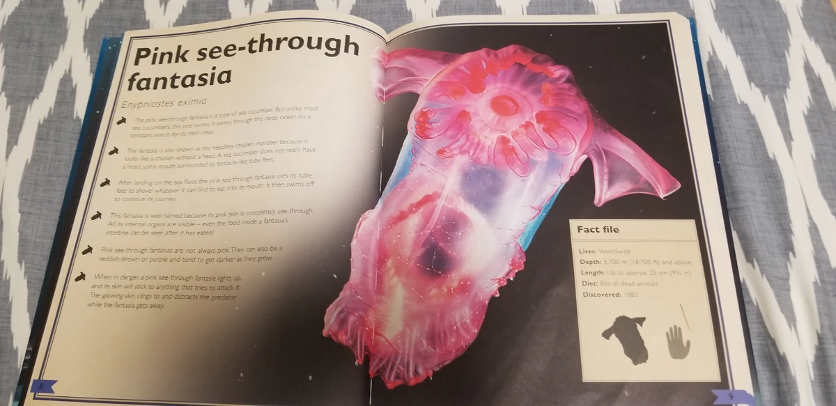 List of Species in The Magniﬁcent Book of Creatures of the Abyss ...