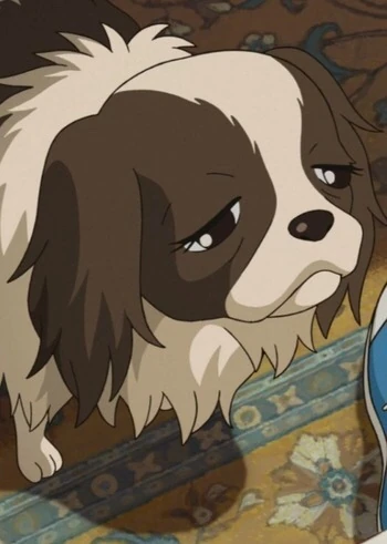 Japanese Chin | Animals Wiki | Fandom