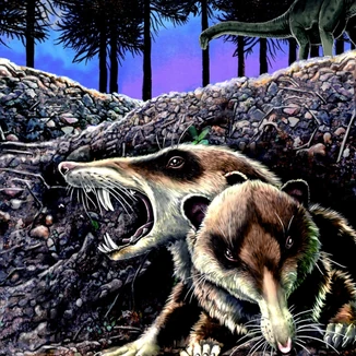 Jomeodon (Saber-toothed Chipmunk) | Animals Wiki | Fandom