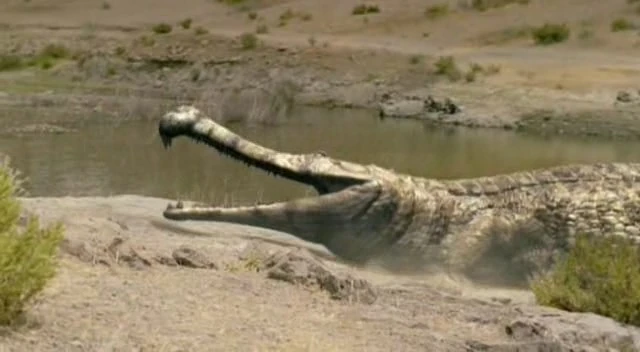 Category:Pholidosaurs | Animals Wiki | Fandom