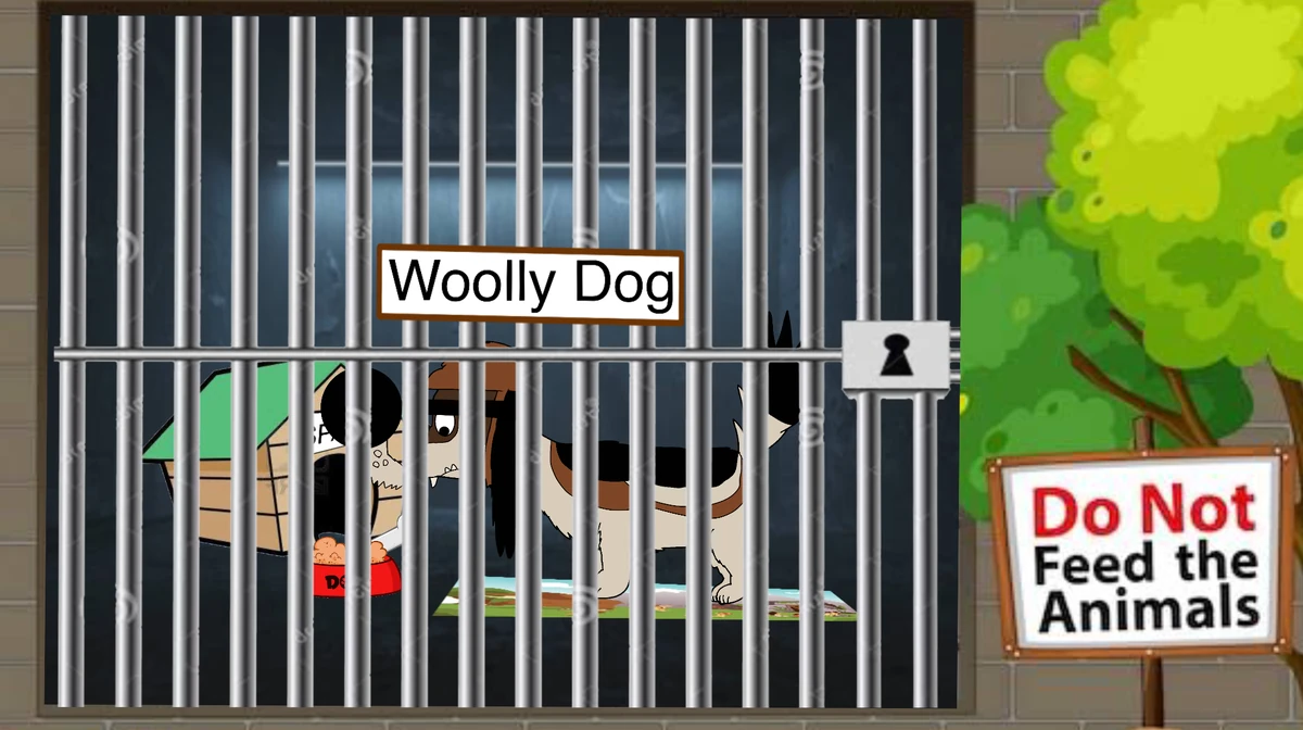 Domestic Woolly Dog | Animals Wiki | Fandom