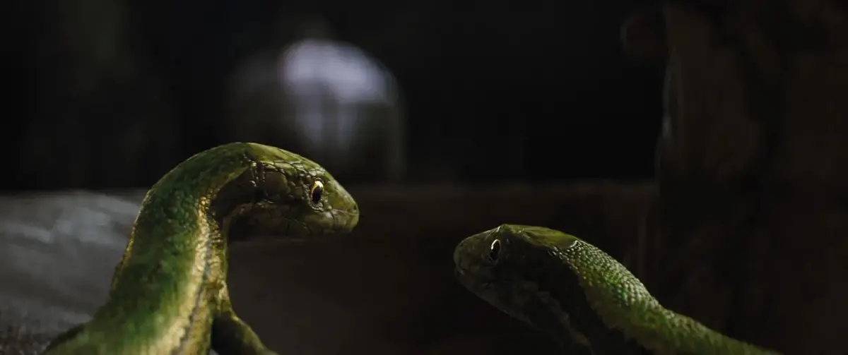 Sand Lizard | Animals Wiki | Fandom