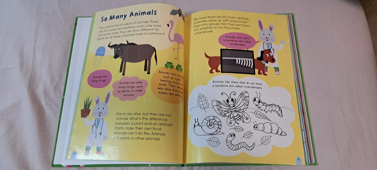 List of Species in Alix Wood Birds, Mammals, Fish, and Bugs | Animals ...