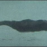 Morgawr | Animals Wiki | Fandom