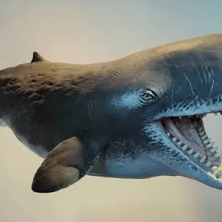 Levyatan | Animals Wiki | Fandom