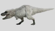 Nanuqsaurus | Animals Wiki | Fandom