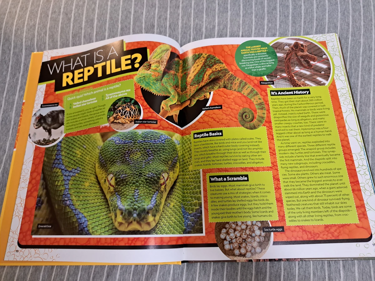 List of Species in The Ultimate Book of Reptiles | Animals Wiki | Fandom