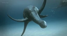 Kimmerosaurus | Animals Wiki | Fandom