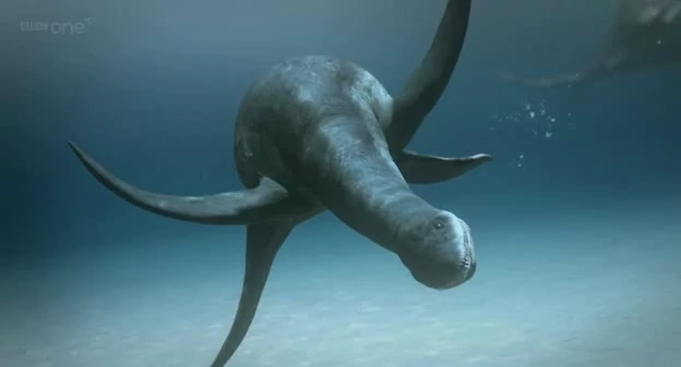 Kimmerosaurus | Animals Wiki | Fandom