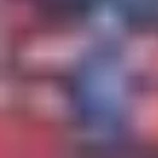 Lepus | Animals Wiki | Fandom