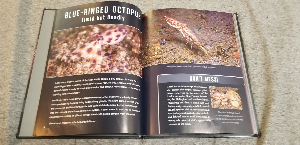 List of Species in How Nature Works Don't Mess with Me | Animals Wiki | Fandom