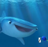List of Species seen in Finding Nemo | Animals Wiki | Fandom