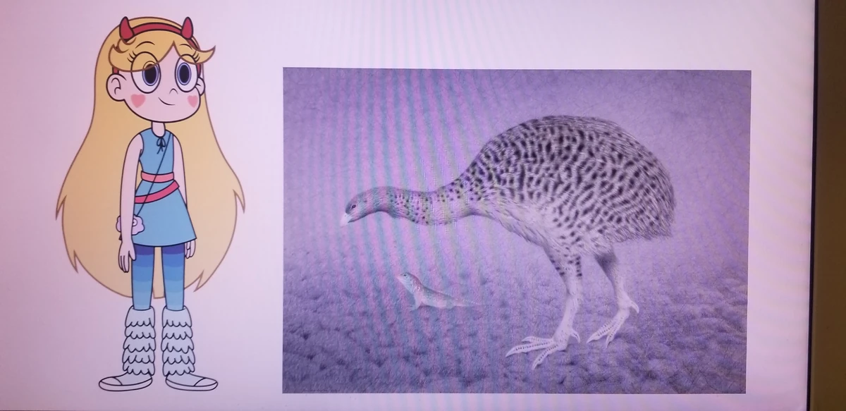 Upland Moa | Animals Wiki | Fandom