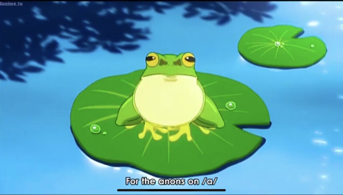 Japanese Tree Frog | Animals Wiki | Fandom