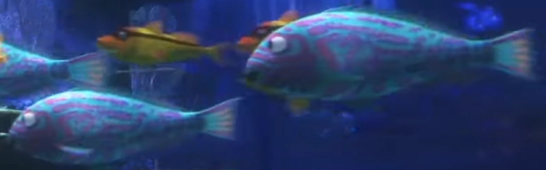 Eastern Wirrah | Animals Wiki | Fandom